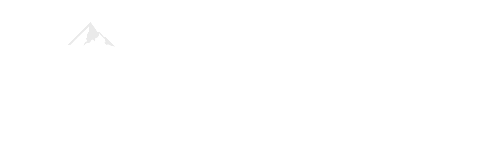 Home - Peyto Digital